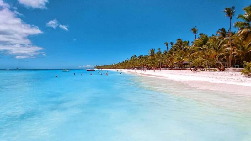 Saona Island Day Trip + Lobsters Included - What This Tour Offers: An Overview