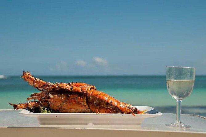 Saona Island Day Trip + Lobsters Included - Overview of the Tour Experience