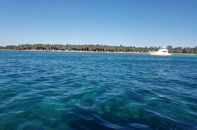 Saona Island Day Trip with Lobsters Included in Bayahibe - Who Will Love This Tour?