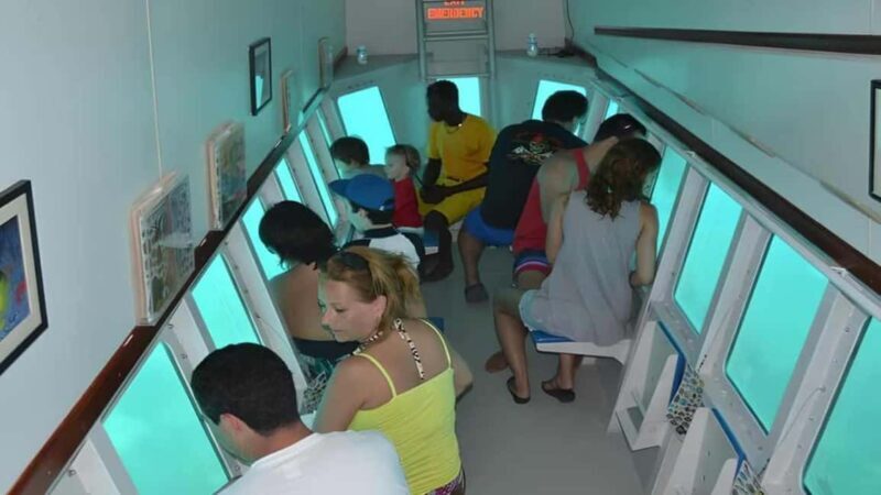 Saona Island Day Trip with Lunch and Open Bar at Punta Cana - The Itinerary: What You Can Expect