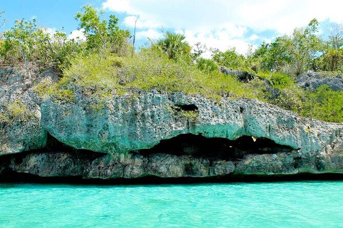 Saona Island Day trip with lunch and transport included. - The Sum Up