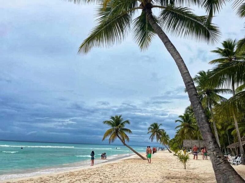 Saona Island: Exclusive Tour with Lunch - Why Choose This Tour?