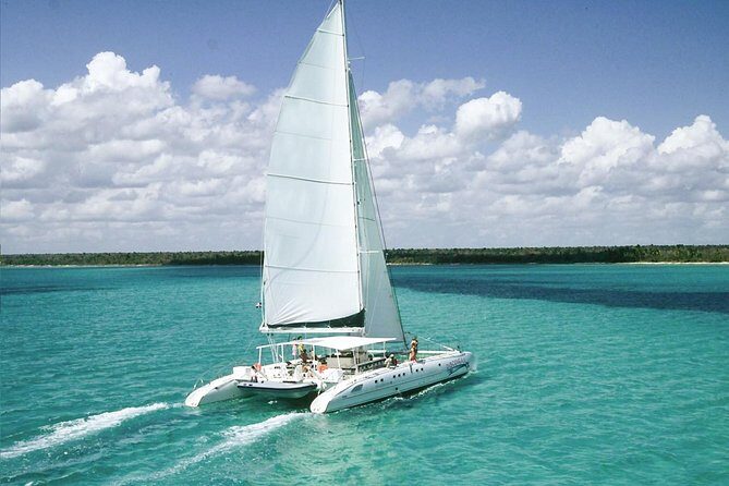 Saona Island Excursion by Catamaran and Speedboat - Key Points