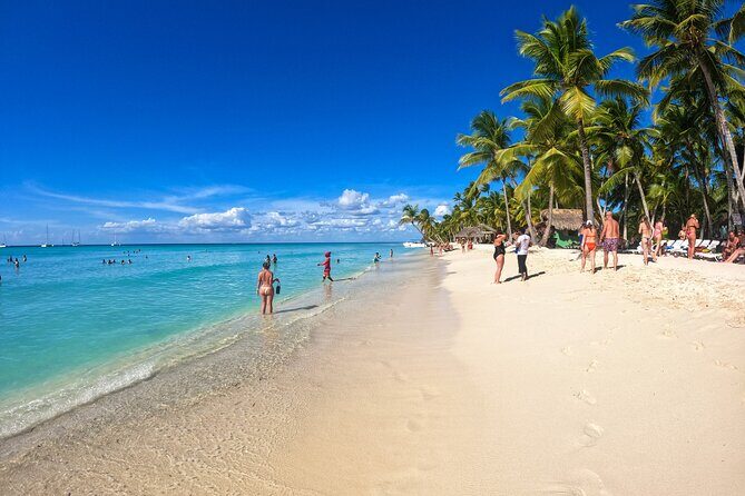 Saona Island Excursion: Caribbean Paradise from Punta Cana - An Overview of the Experience