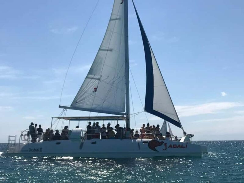 Saona Island Excursion from Punta Cana - Key Points