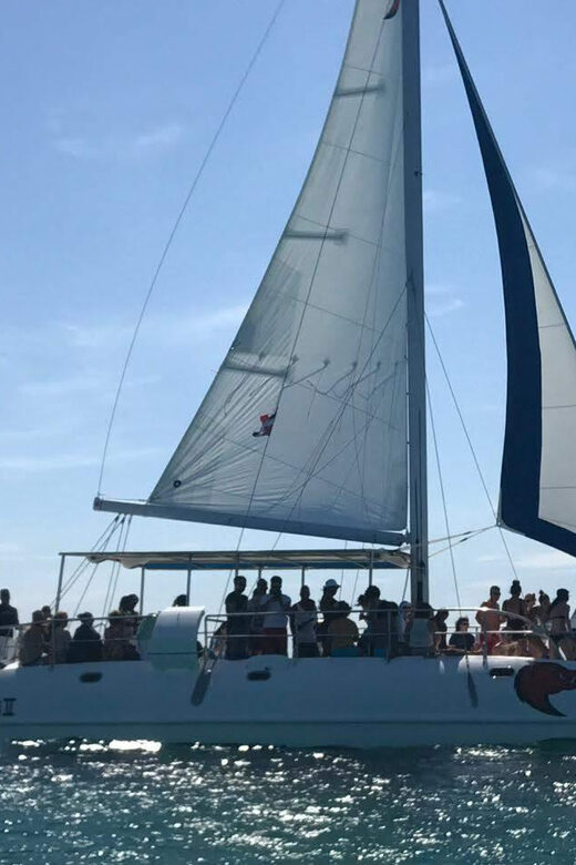 Saona Island Excursion from Punta Cana - Practical Tips for Your Trip