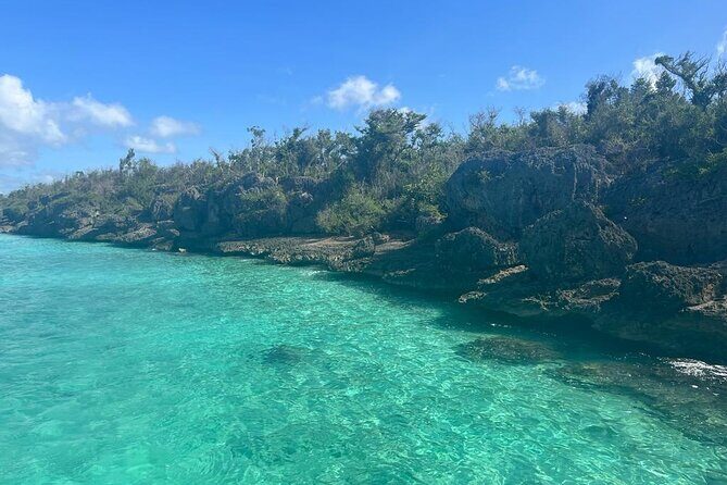 Saona Island for AIDA Passengers from La Romana Port - Value and Practical Tips