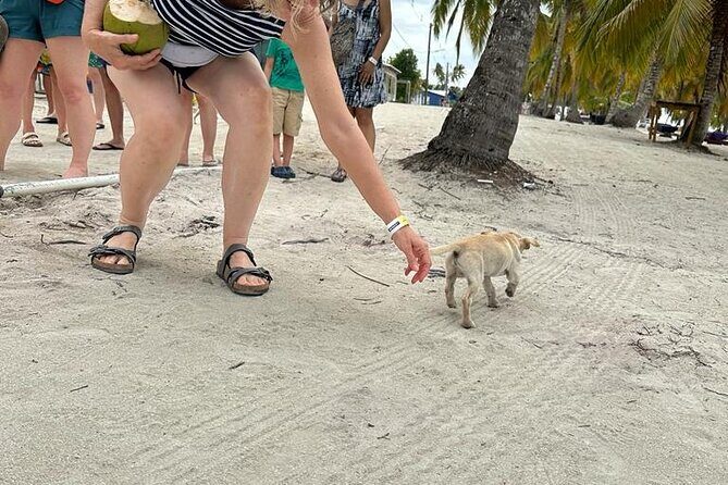 Saona Island for AIDA Passengers from La Romana Port - FAQs