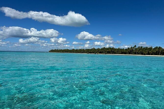 Saona Island for Marella Discovery Passengers from La Romana Port - Introduction: What Makes This Tour Stand Out?