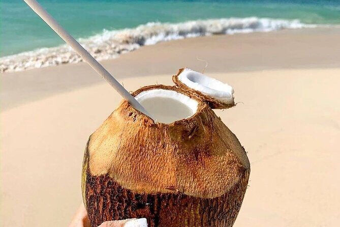 Saona island From Bayahibe - Start at the Port - FAQ