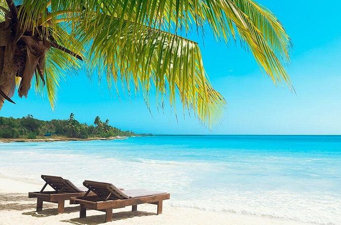 Saona Island From Punta Cana - Who Will Love This Tour?