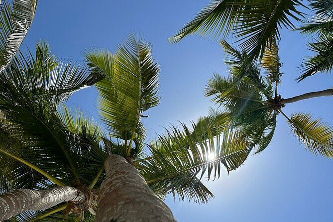 Saona Island from Punta Cana - Who Should Take This Tour?