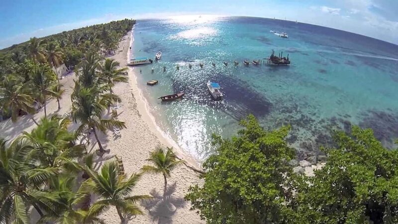 Saona Island from Punta Cana Day Trip with Open Bar - The Itinerary Breakdown