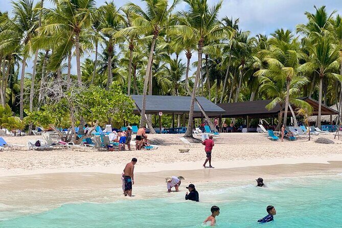 Saona Island from Santo Domingo - Who Should Consider This Tour?
