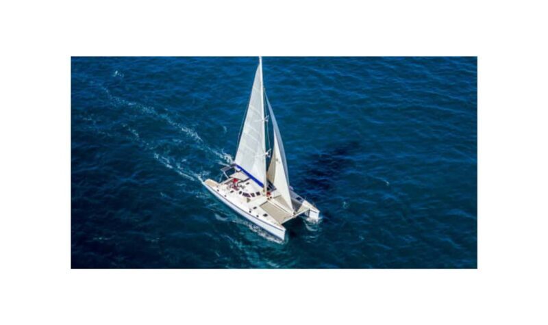 Saona Island From Santo Domingo With Catamaran, Food & Drink - The Itinerary in Detail