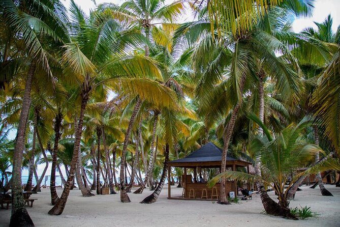 Saona Island Full Day Adventure From Punta Cana & Bavaro - FAQs