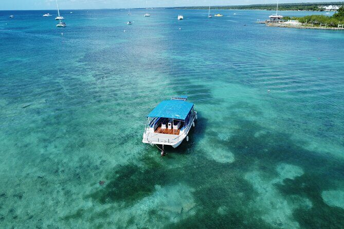 Saona Island: Full-day Catamaran Tour - Small Group - A Complete Look at the Experience