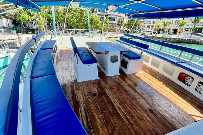 Saona Island: Full-day Catamaran Tour - Small Group - Who Would Love This Tour?