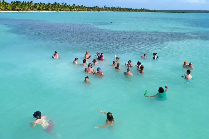 Saona Island: Full-day Catamaran Tour - Small Group - The Bottom Line