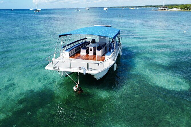 Saona Island: Full-day Catamaran Tour - Small Group - Frequently Asked Questions