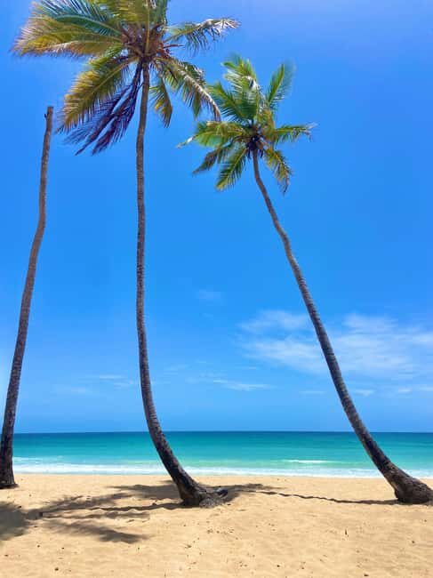 Saona Island Full-Day Cruise, Natural Pool and Lunch - The Natural Pool: A Shallow Paradise