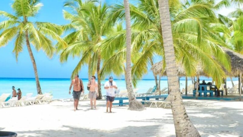 Saona Island Full-Day Cruise, Natural Pool and Lunch - Practical Tips for Travelers