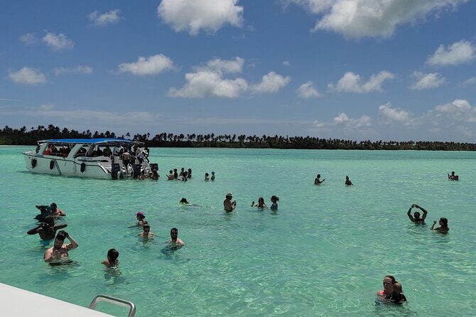 Saona Island Full Day From Punta Cana - Transportation, Timing, and Group Size