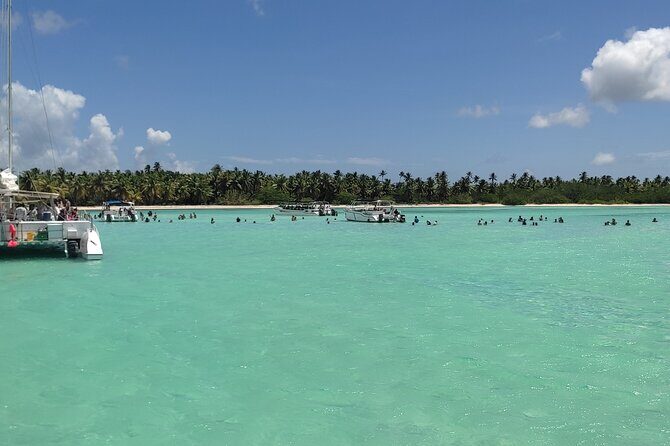 Saona Island Full Day From Punta Cana - The Reviews – Real Talks from Travelers