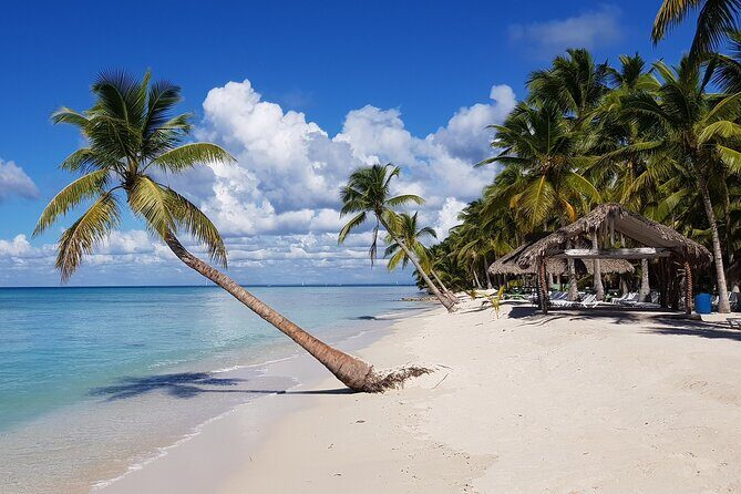 Saona Island full day tour from Las Terrenas - An In-Depth Look at the Tour