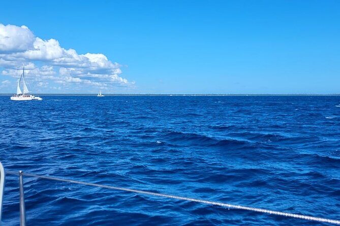 Saona Island Full-Day Tour from Punta Cana Bayahibe All Inclusive - A Deep Dive into the Saona Island Tour