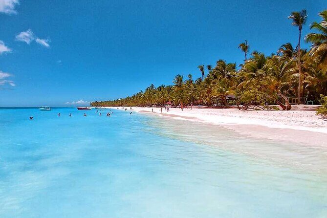 Saona Island Full-Day Tour from Santo Domingo - How the Tour Unfolds