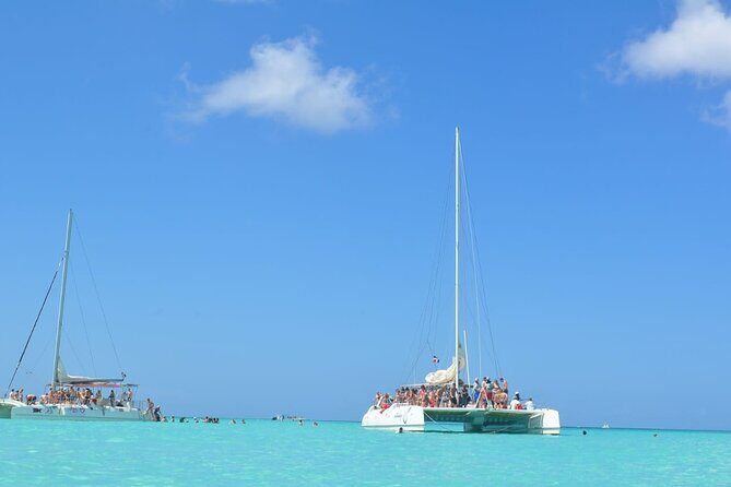 Saona Island Full-Day Tour from Santo Domingo - Who Is This Tour Best Suited For?