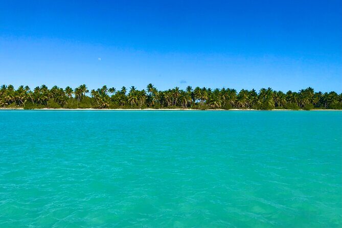 Saona Island Full Day Tour with Buffet Lunch, Paella, & Open Bar - What’s Included and What’s Not