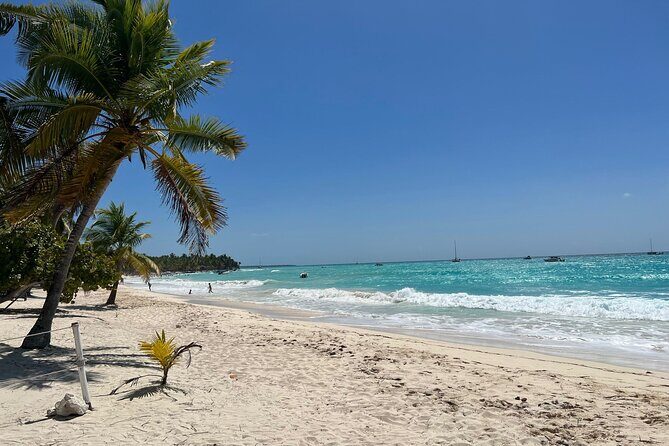 Saona Island Full Day Tour with Buffet Lunch, Paella, & Open Bar - Final Thoughts: Is It Worth It?