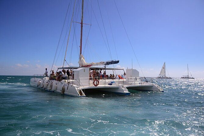 Saona island full day tours - catamarán party from santo domingo - Introduction: A Full Day on Saona Island—What to Expect