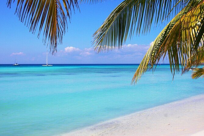 Saona island full day tours - catamarán party from santo domingo - Authentic Experiences & Tips from Travelers