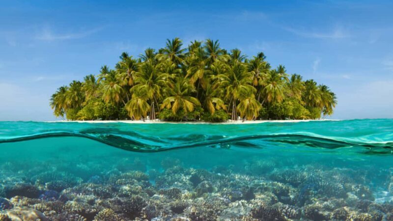 Saona Island: Hidden Beach & Natural Pool - The hidden beach and natural pool