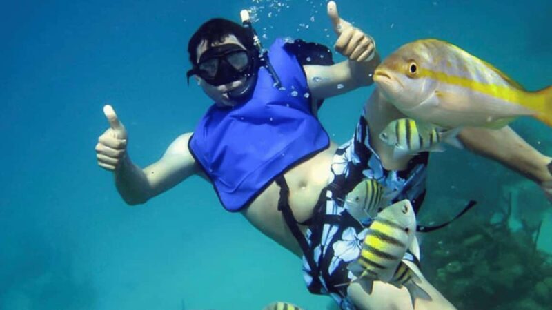 Saona Island: Hidden Beach & Natural Pool - Returning with scenic views