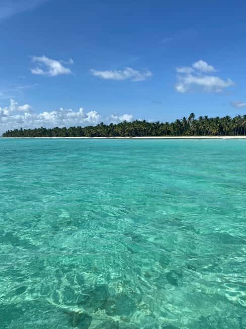 Saona Island in a semi-submarine and snorkeling. - What to Expect from This Tour