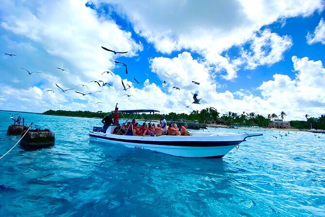Saona Island, Natural pool Starfish, Fast boat, Catamaran +Dances - An In-Depth Look at the Tour Experience