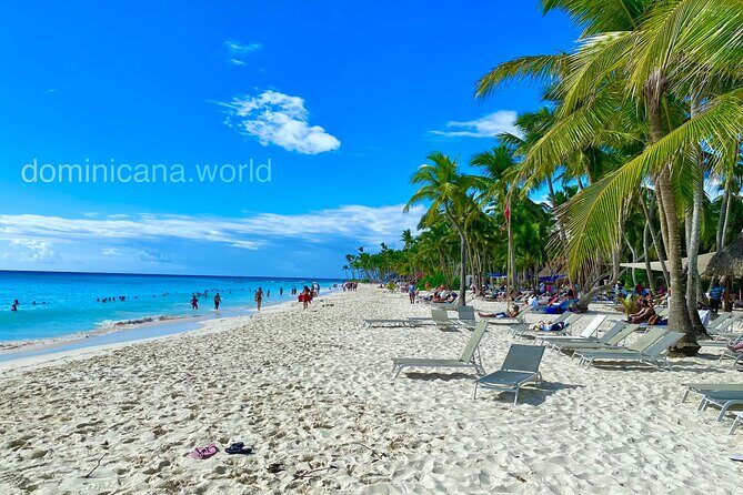 Saona Island, Natural pool Starfish, Fast boat, Catamaran +Dances - The Sum Up