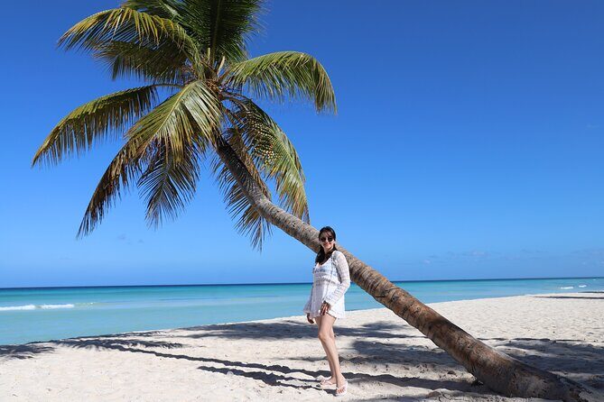 Saona Island One Day in Paradise Small Group - The Experience: What to Expect on this Private Day Trip