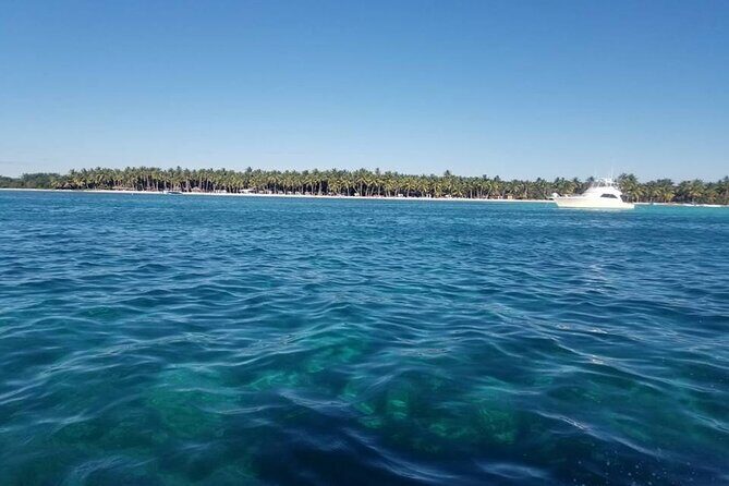 Saona Island Package with Roundtrip Transportation from Airport and Hotels - FAQ