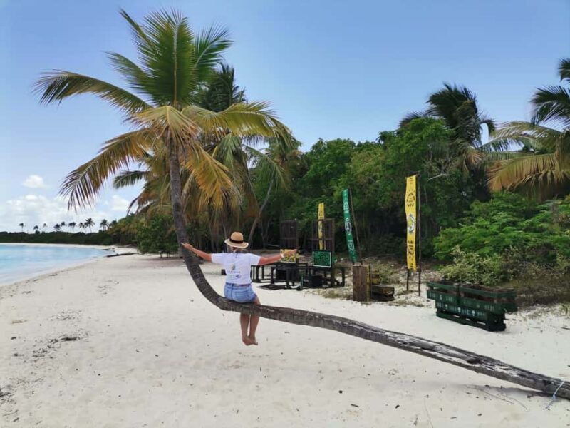 Saona Island Private Beach Club with Lunch - Key Points