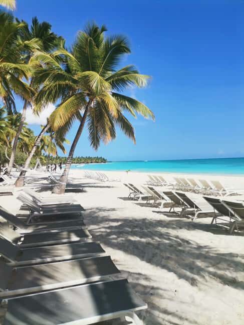 Saona Island Private Beach Club with Lunch - Introduction: A Luxurious Twist on a Caribbean Classic