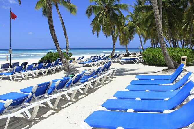 Saona Island Private Boat Tour with Lunch and Beverages - The Natural Pool and Additional Stops