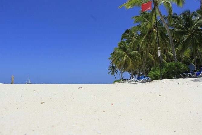 Saona Island Private Boat Tour with Lunch and Beverages - Return and Reflection