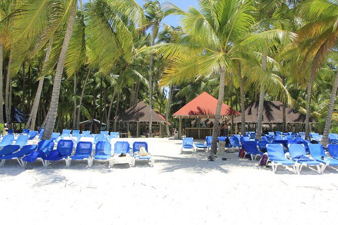 Saona Island Private Boat Tour with Lunch and Beverages - Authentic Experiences and Practicalities
