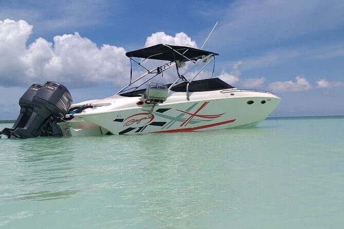 Saona island - Private Tour with a Luxury Speed Boat - An In-Depth Look at the Tour Experience