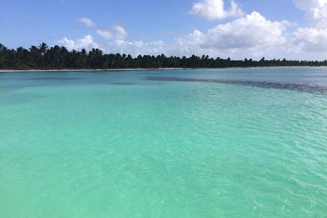 Saona island - Private Tour with a Luxury Speed Boat - Who Will Appreciate This Tour?